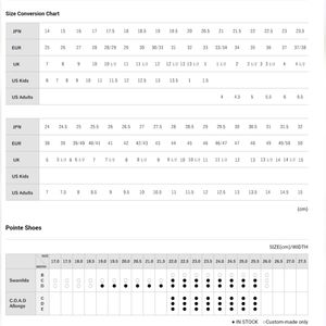 chacott | Shoes | Chacott Veronese Pink Silk Pointe Ballet Shoes Nwot ...